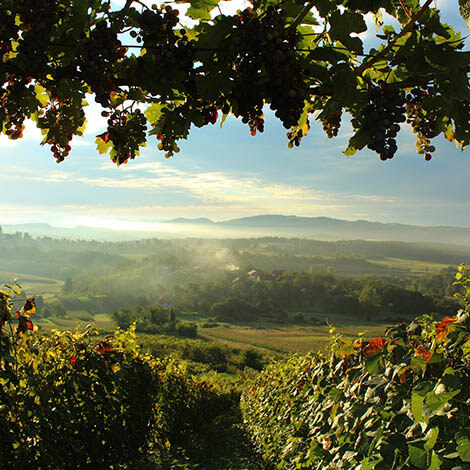 Tuhelj i okolica - Terme Tuhelj, Tuheljske Toplice, Hrvatska
